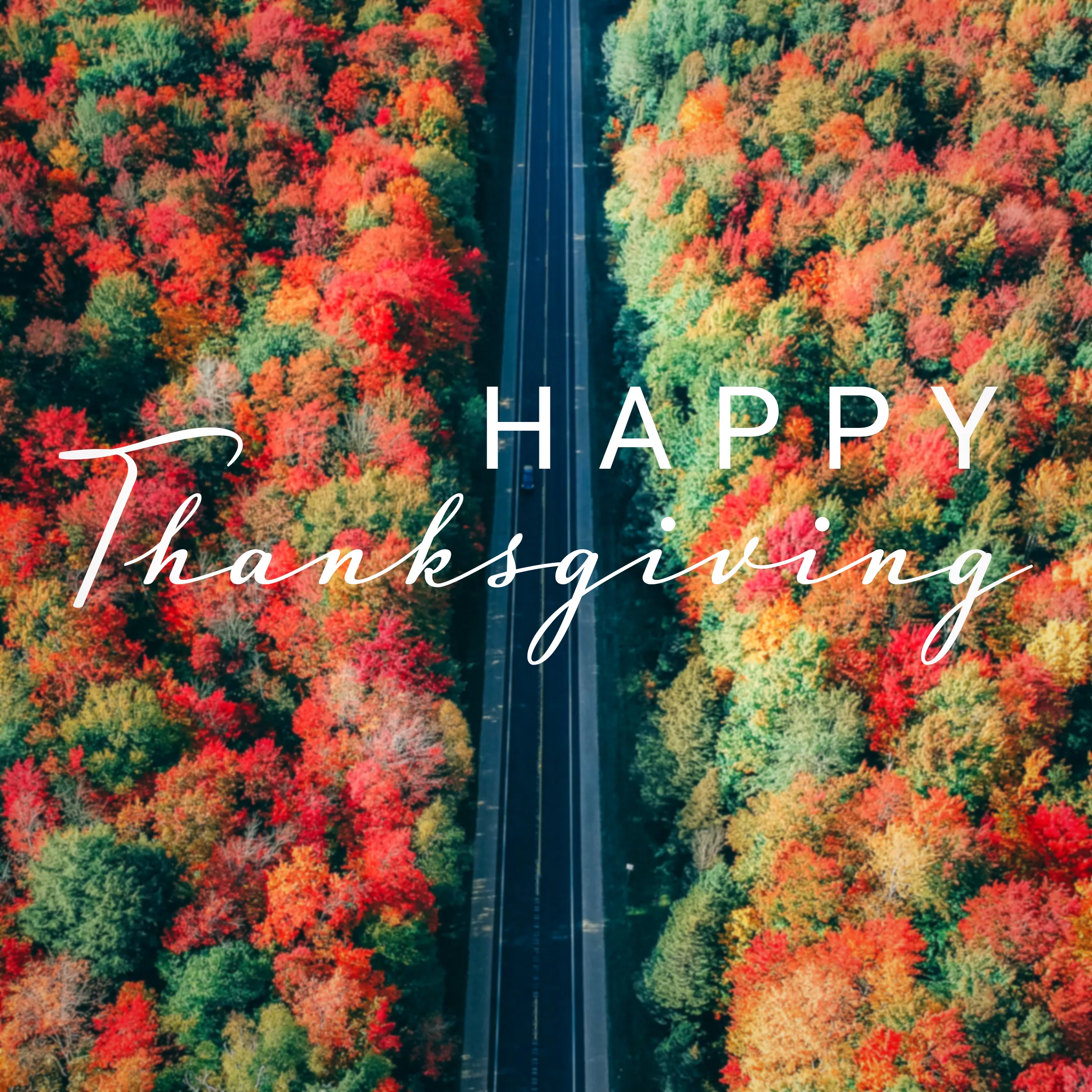 Your Thanksgiving Service Schedule - Dry Cleaning Connection